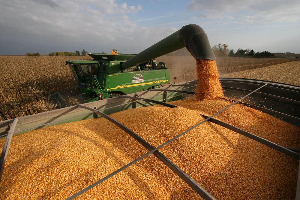 NCGA Analysis Shows $50 Per Acre Revenue Declines for Corn Due to COVID-19
